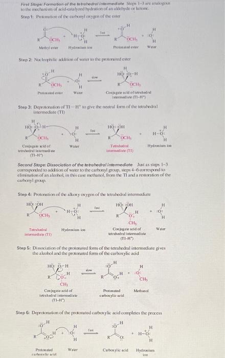 Solved Select the correct fifth step. Oxonium ion Protonated | Chegg.com