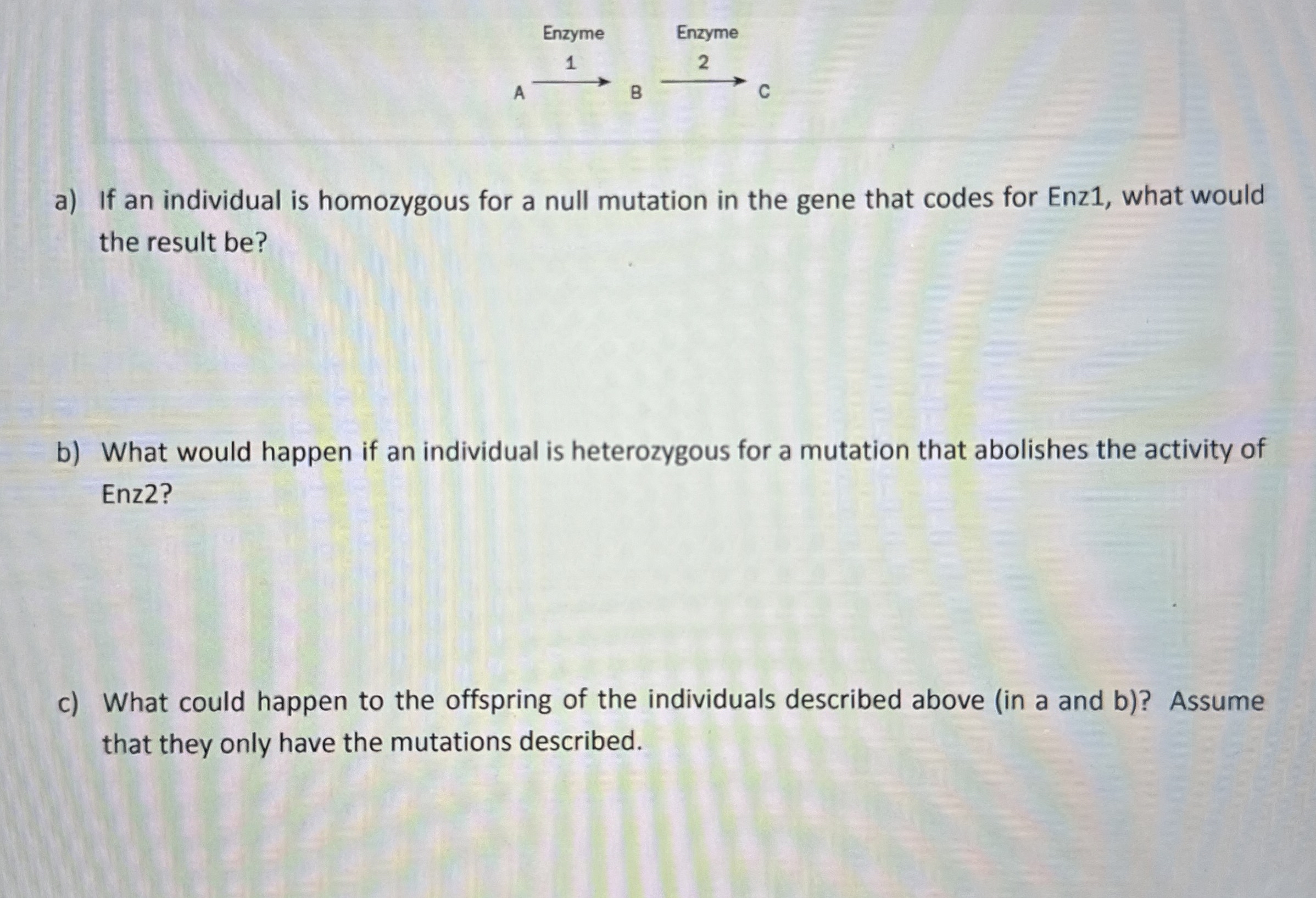Solved a) ﻿If an individual is homozygous for a null | Chegg.com