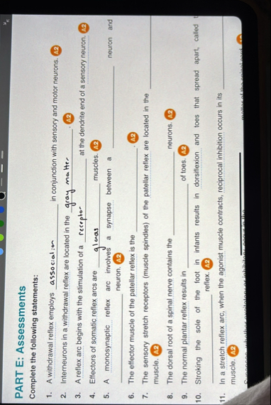 Solved PART E: AssessmentsComplete the following | Chegg.com