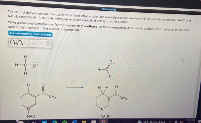 Solved The alcohol dehydrogenase reaction interconverts | Chegg.com