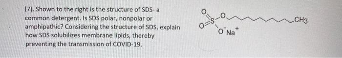 Solved CH3 (7). Shown to the right is the structure of SDS-a | Chegg.com