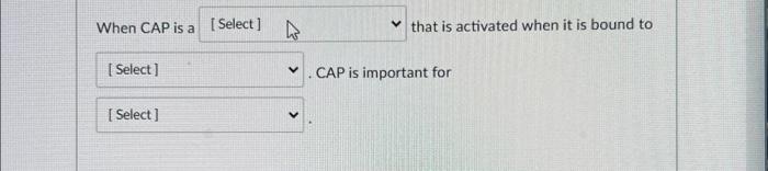 Solved Option 1: product, substrate, activator, repressor, | Chegg.com