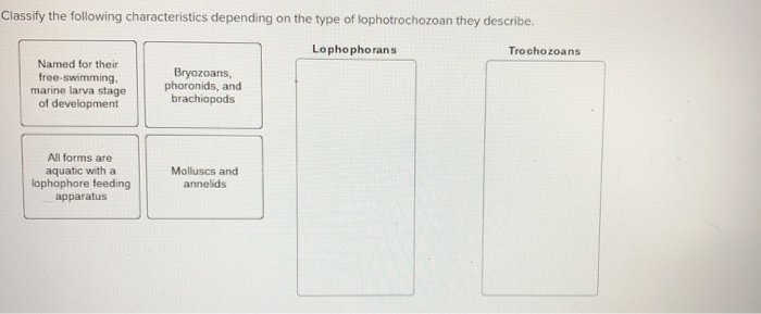 Solved Classify the following characteristics depending on | Chegg.com
