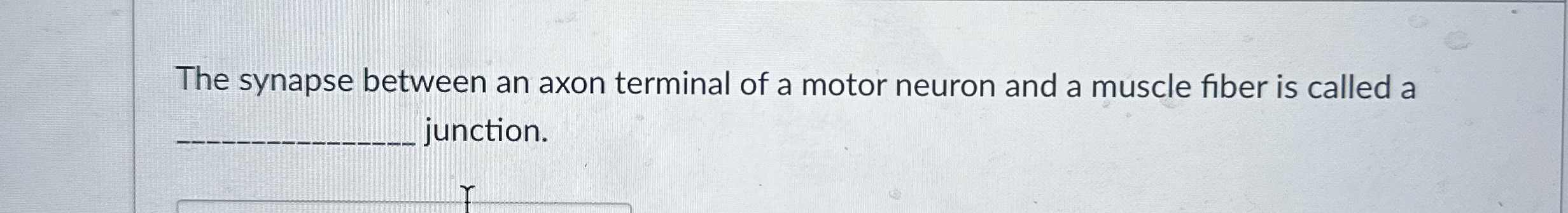 Solved The synapse between an axon terminal of a motor | Chegg.com