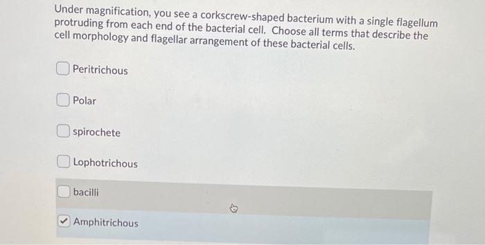 Solved Under magnification, you see a corkscrew-shaped | Chegg.com