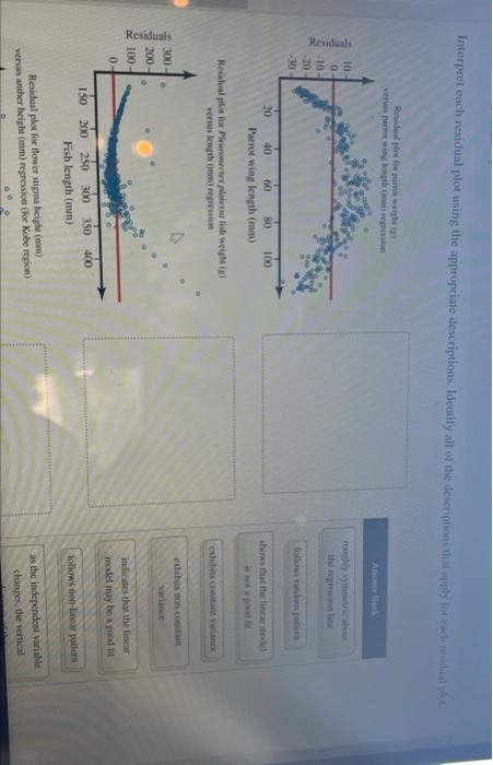 Solved Interpret each residual plot using the appropriate | Chegg.com