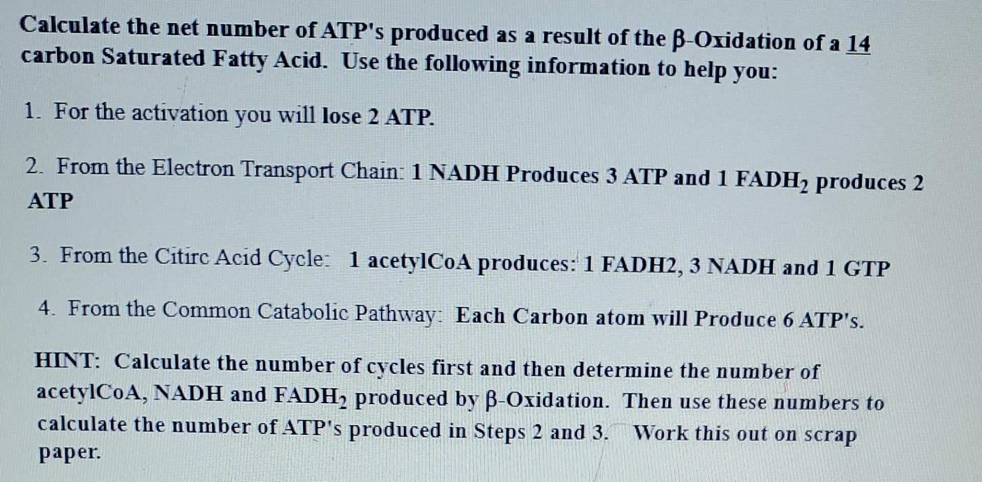 Solved Calculate the net number of ATP's produced as a | Chegg.com