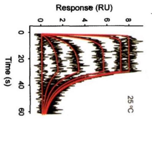 The following sensorgram represents binding of | Chegg.com