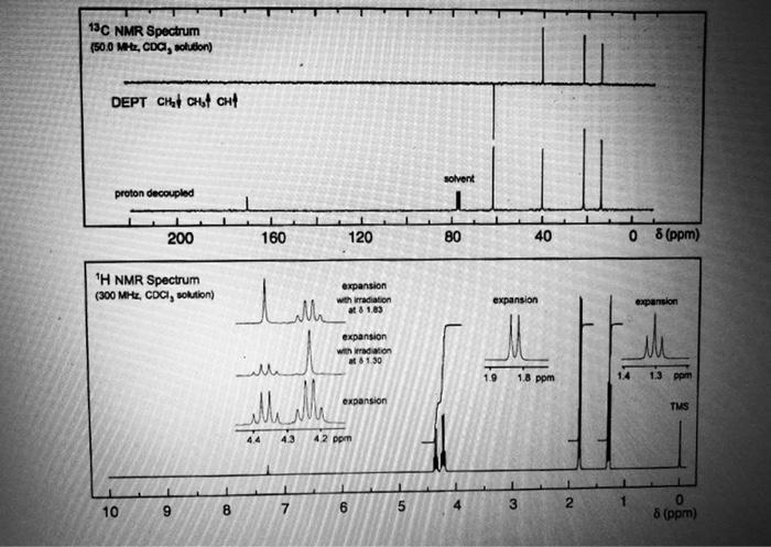 Solved (h) CsH902Br 1740 IR Spectrum (liquid film) 4000 3000 | Chegg.com