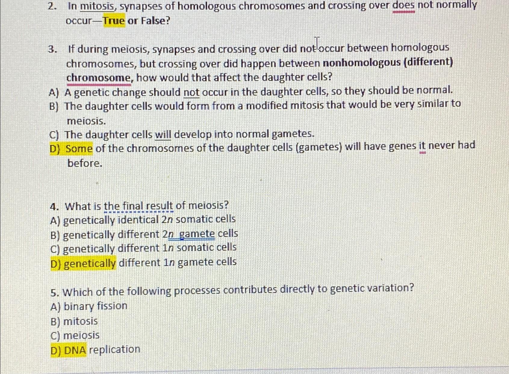 Solved In mitosis, synapses of homologous chromosomes and | Chegg.com