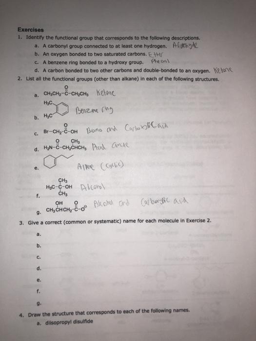 Solved Exercises 1. Identify the functional group that | Chegg.com