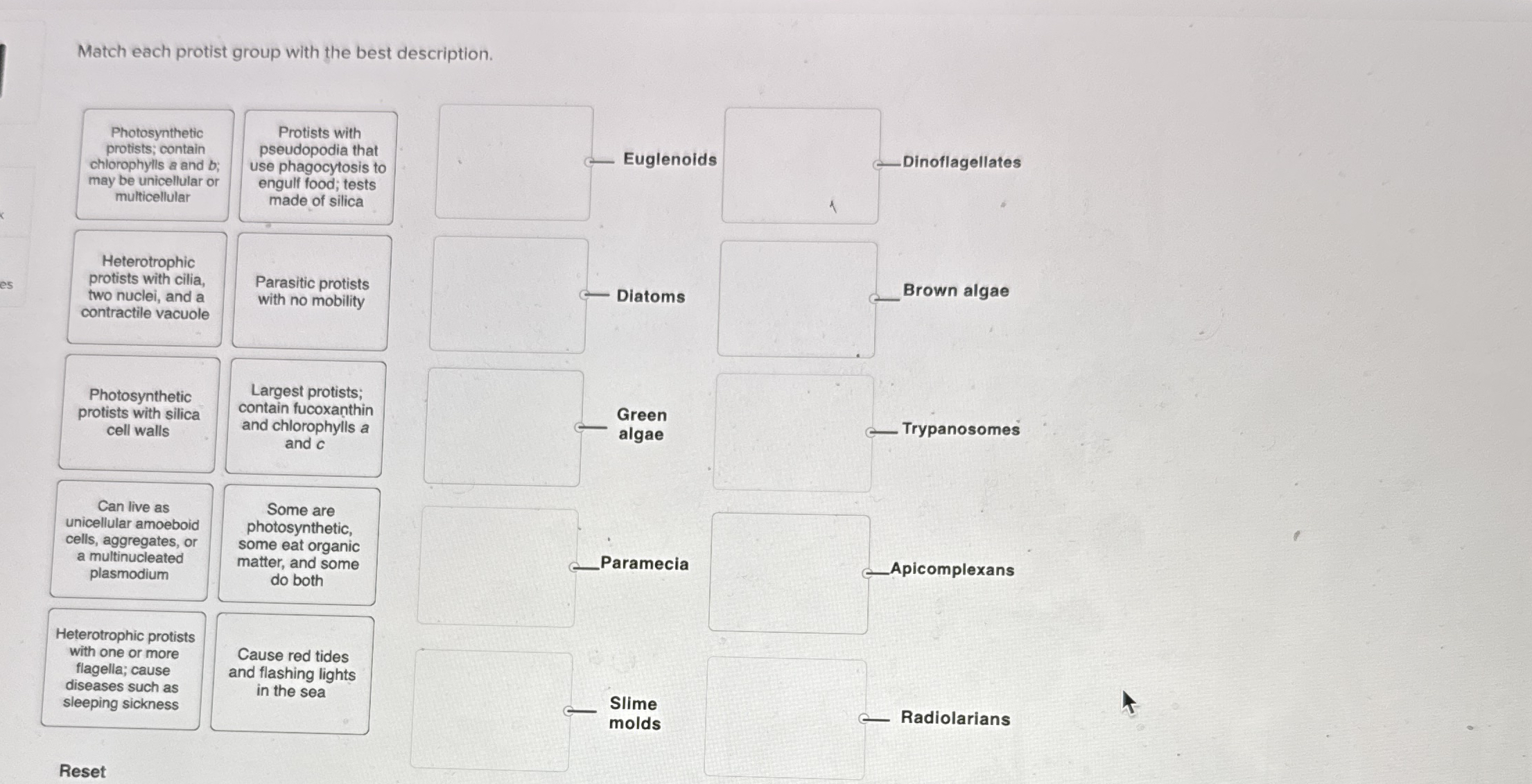 Solved Match each protist group with the best description. | Chegg.com