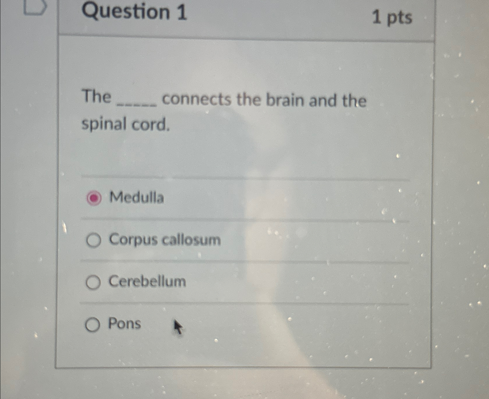 Solved Question 11 ﻿ptsThe connects the brain and the spinal | Chegg.com
