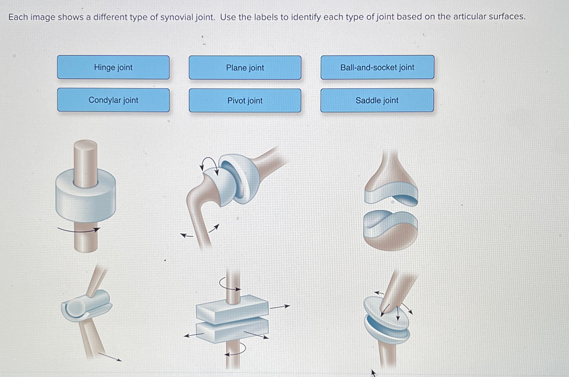 Solved Each image shows a different type of synovial joint. | Chegg.com