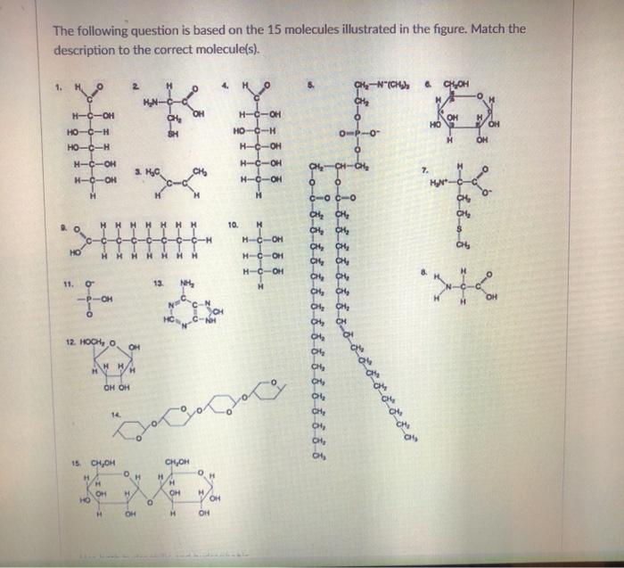 Solved The following question is based on the 15 molecules | Chegg.com