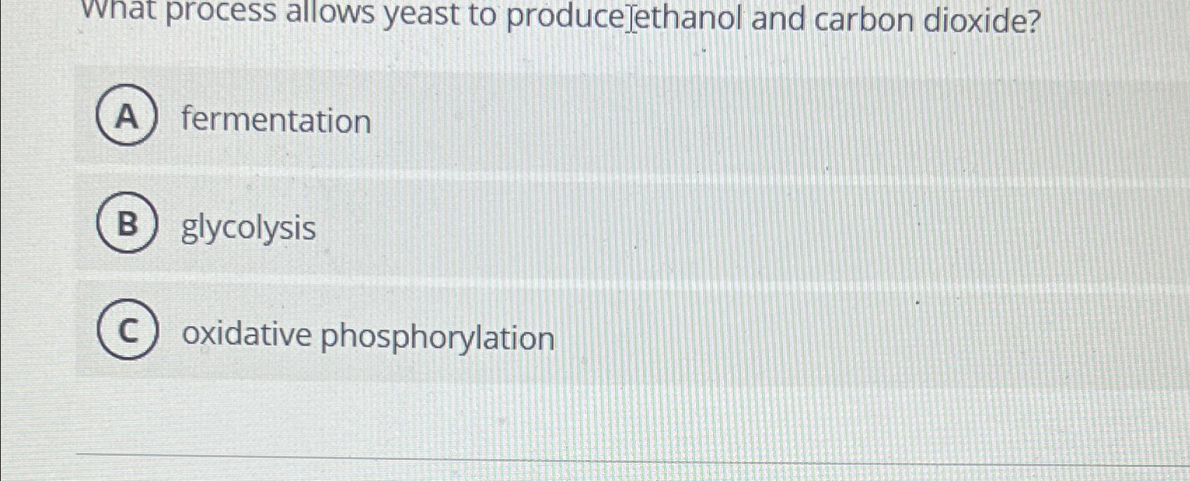 Solved What process allows yeast to producelethanol and | Chegg.com