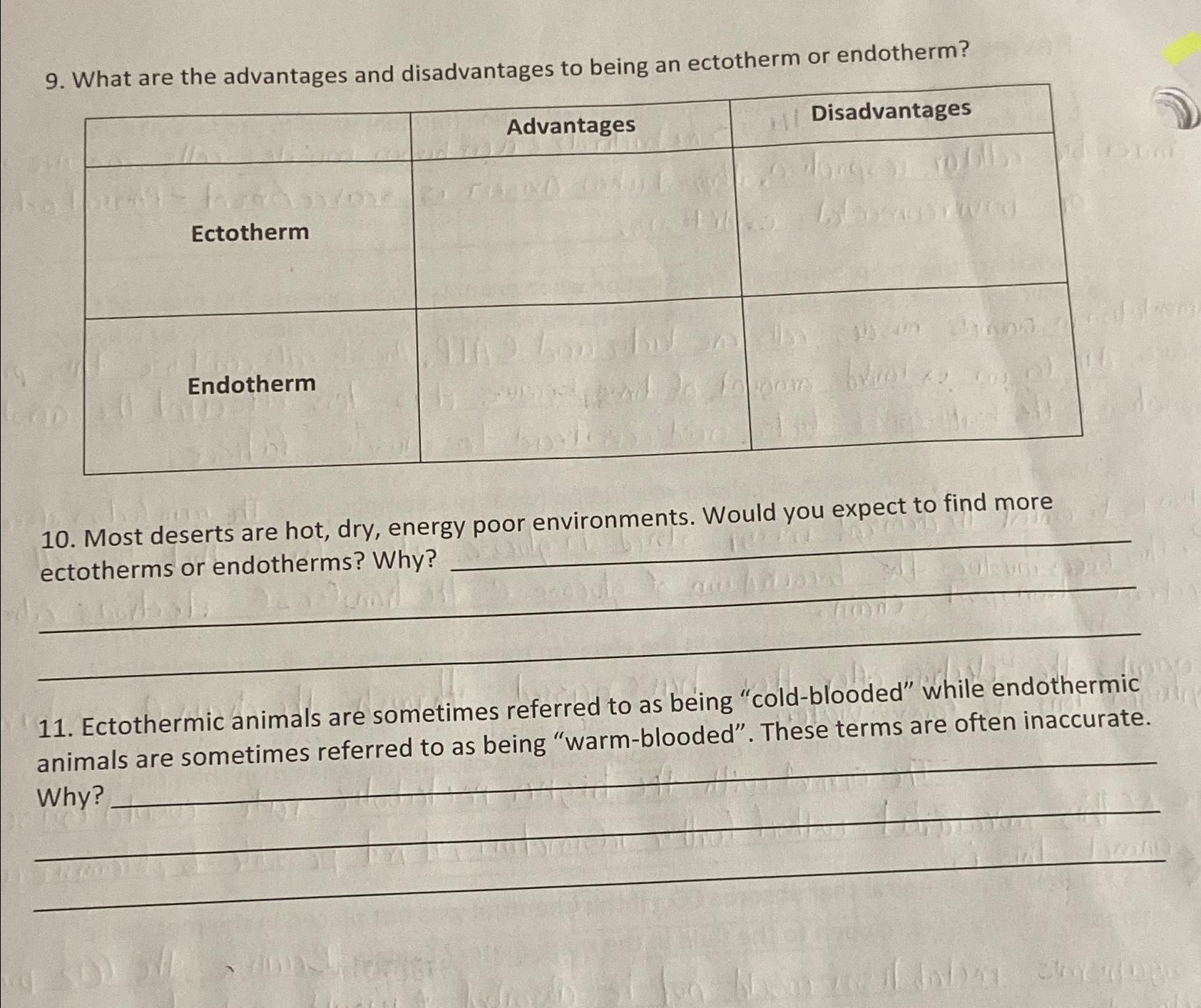 Solved What are the advantages and disadvantages to being an | Chegg.com