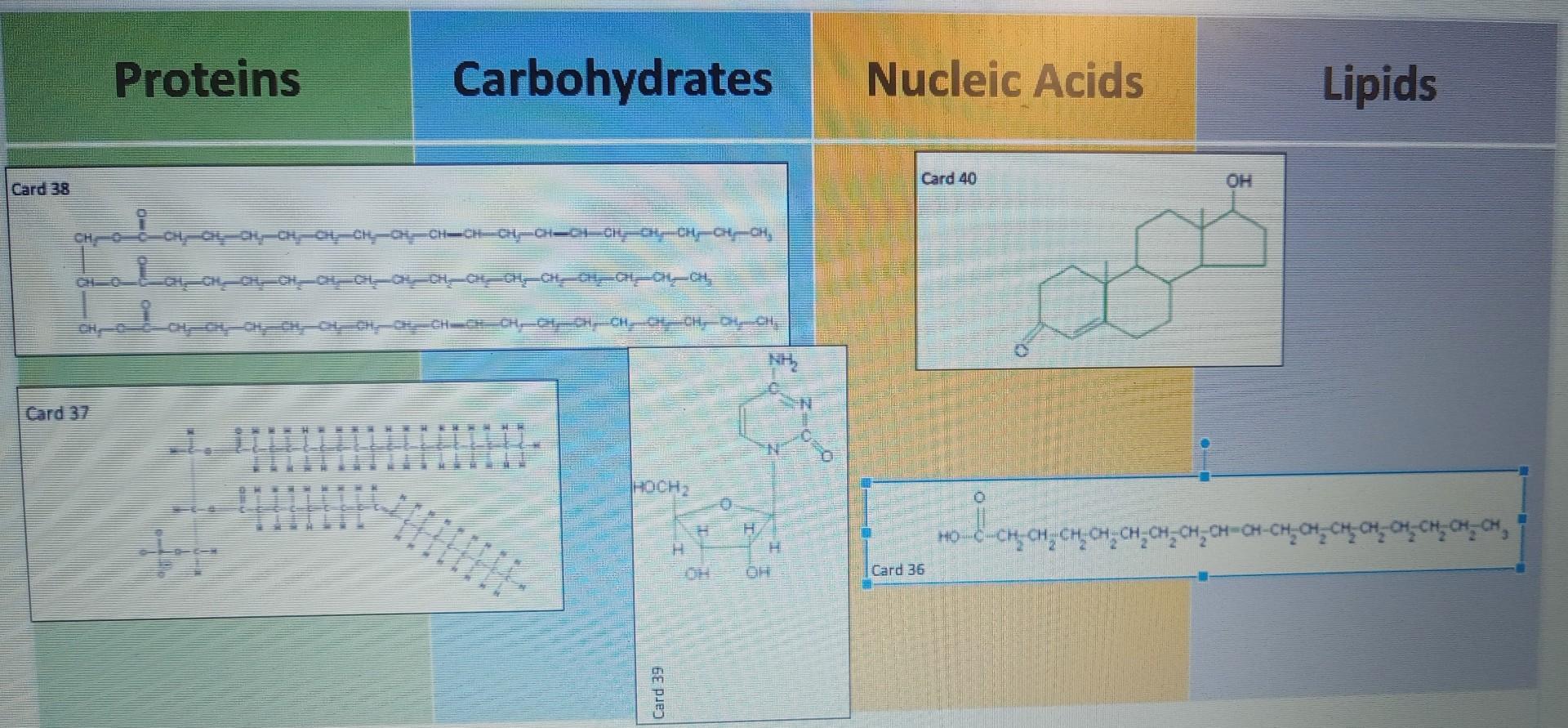 Card 6Nucleic Acids LipidsLipids Card 19Proteins | Chegg.com