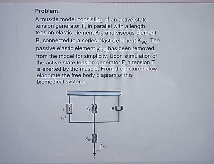 Solved Problem:A muscle model consisting of an active-state | Chegg.com