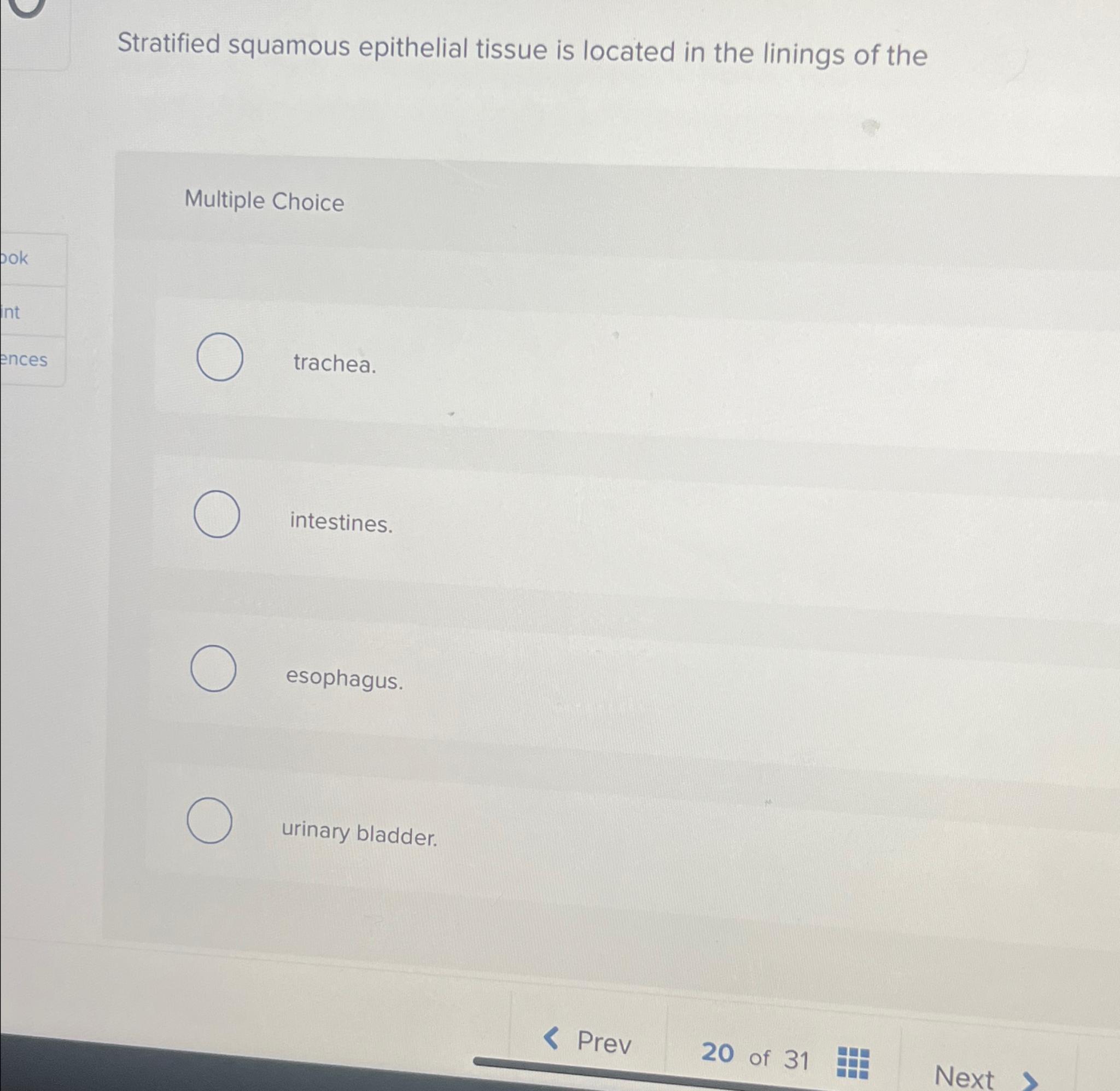 Solved Stratified squamous epithelial tissue is located in | Chegg.com
