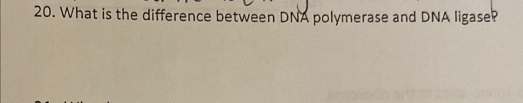 Solved What is the difference between DNA polymerase and DNA | Chegg.com