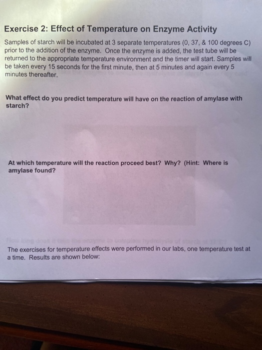 Solved Exercise 2: Effect of Temperature on Enzyme Activity | Chegg.com