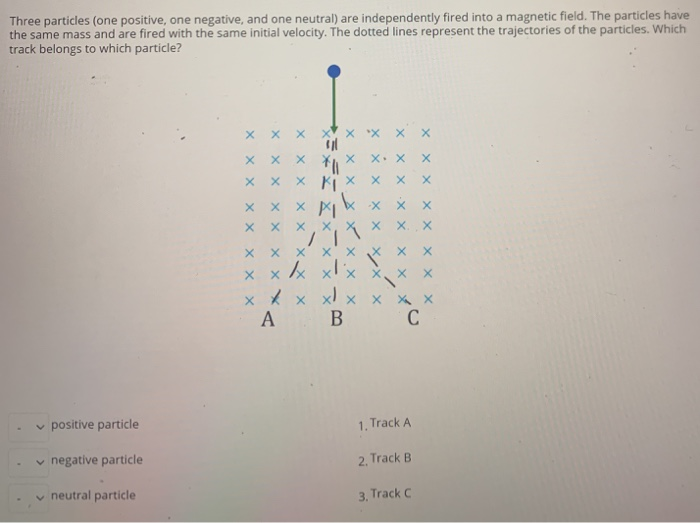 Solved Three particles (one positive, one negative, and one | Chegg.com