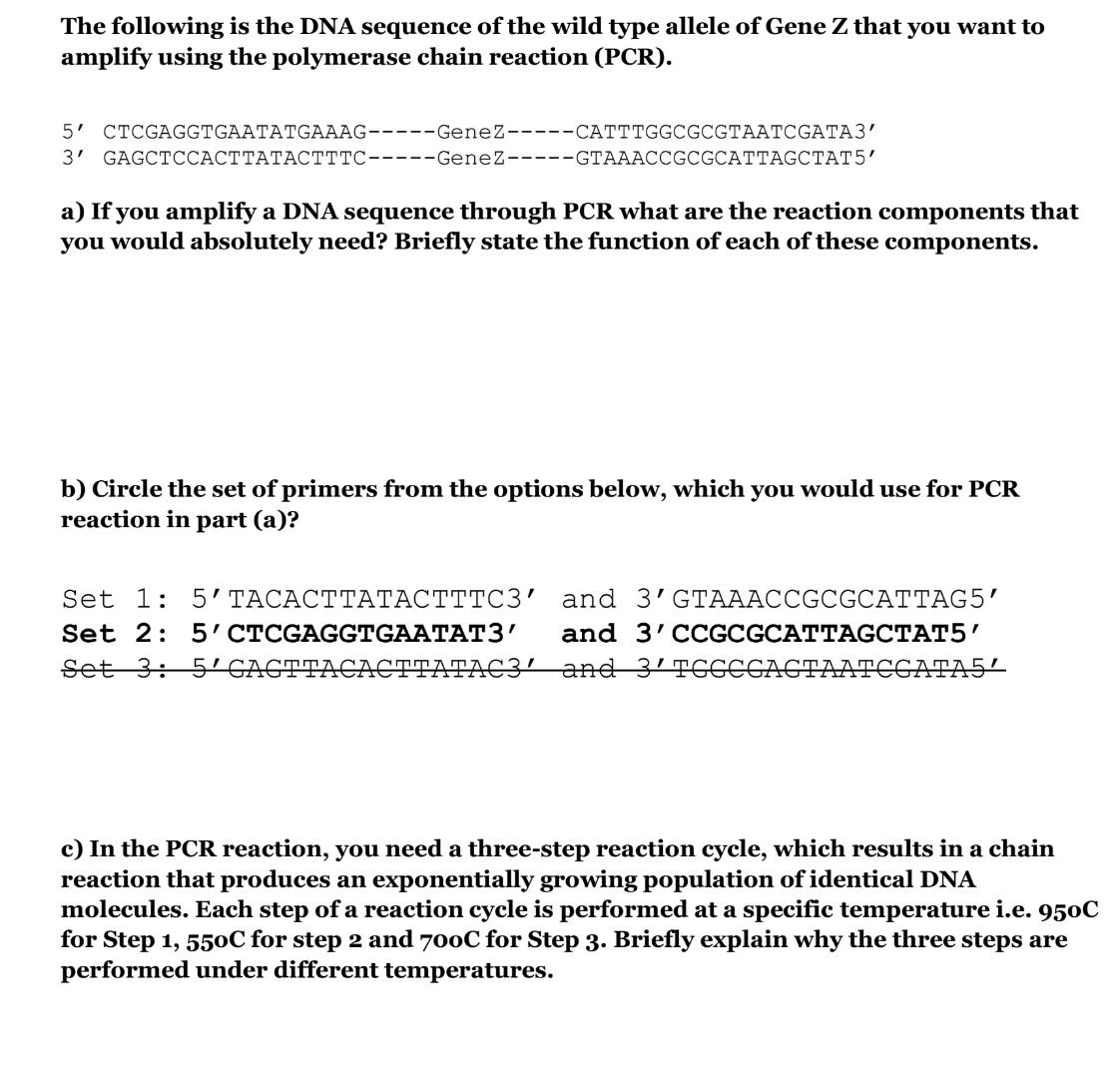 Solved The following is the DNA sequence of the wild type | Chegg.com