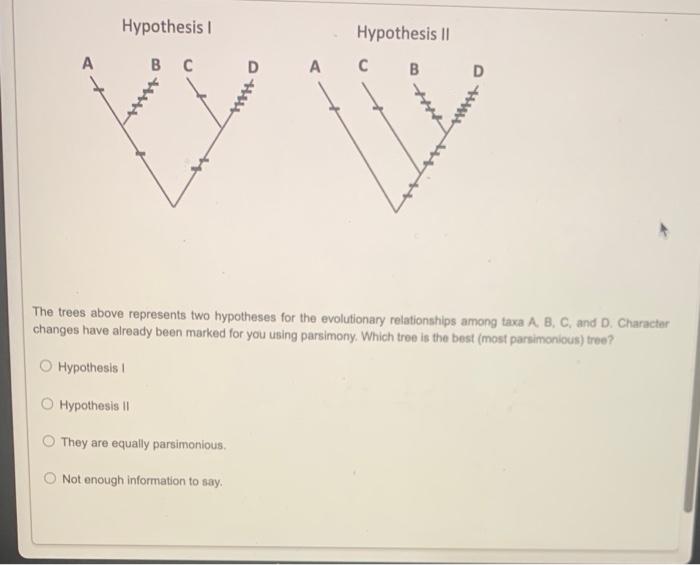 Solved Hypothesis Hypothesis 11 А в с A С B The trees above | Chegg.com