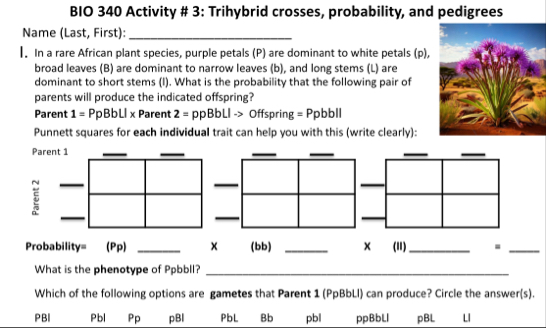 Solved BIO 340 ﻿Activity # 3: Trihybrid crosses, | Chegg.com
