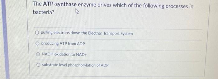Solved The ATP-Synthase emzyme drives which of the following | Chegg.com