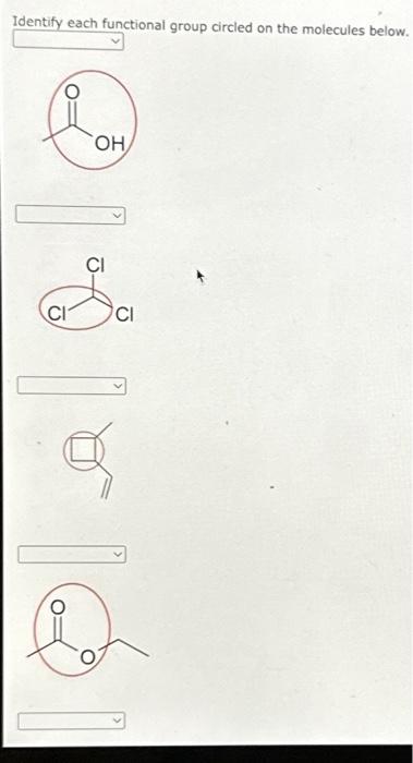 Solved Identify each functional group circled on the | Chegg.com