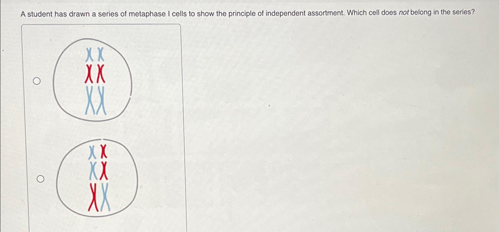 Solved A student has drawn a series of metaphase I cells to | Chegg.com