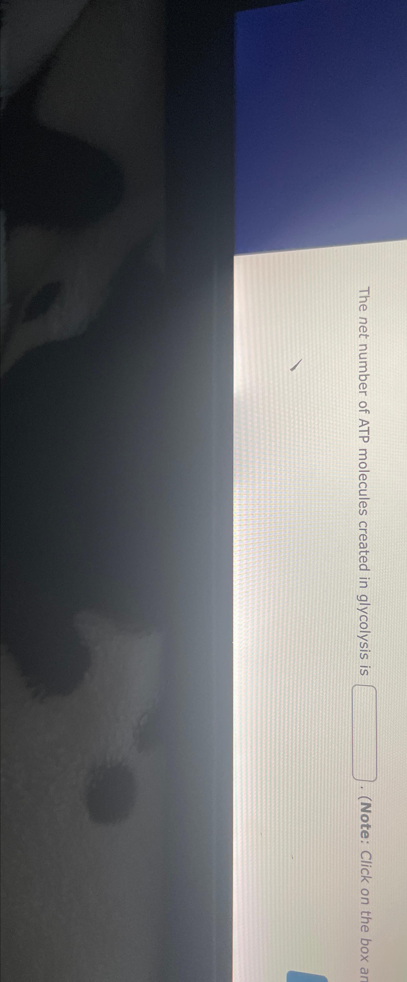 Solved The net number of ATP molecules created in glycolysis | Chegg.com