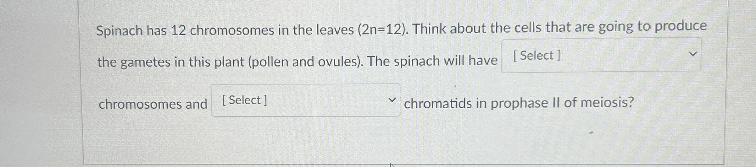 Solved Spinach has 12 ﻿chromosomes in the leaves )=(12. | Chegg.com