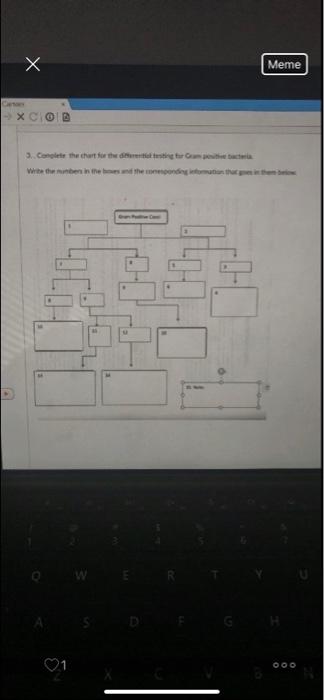 х Meme OOO | Chegg.com