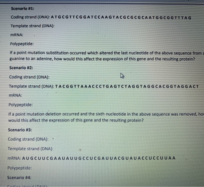 Scenario #1: Coding strand (DNA): | Chegg.com