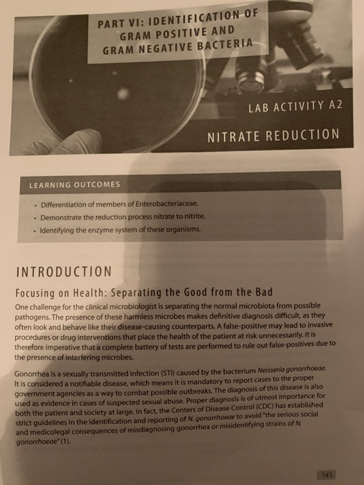 Solved PART VI: IDENTIFICATION OF GRAM POSITIVE AND GRAM | Chegg.com