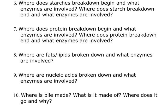 Solved 6. Where does starches breakdown begin and what | Chegg.com