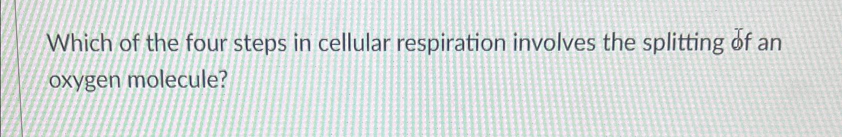 Solved Which of the four steps in cellular respiration | Chegg.com