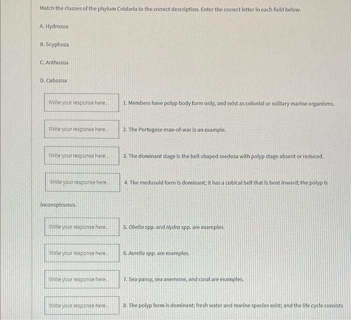 Match the classes of the phylum Cnidaria to the | Chegg.com