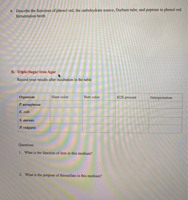 Solved Results: A. Phenol Red broth Record your results | Chegg.com