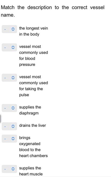 Solved Match the description to the correct vessel names in | Chegg.com