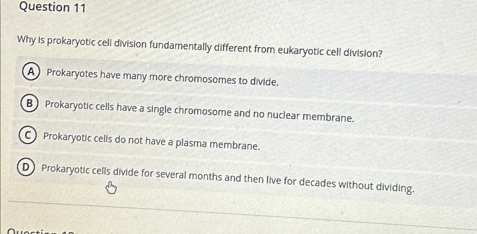Question 11Why is prokaryotic cell division | Chegg.com