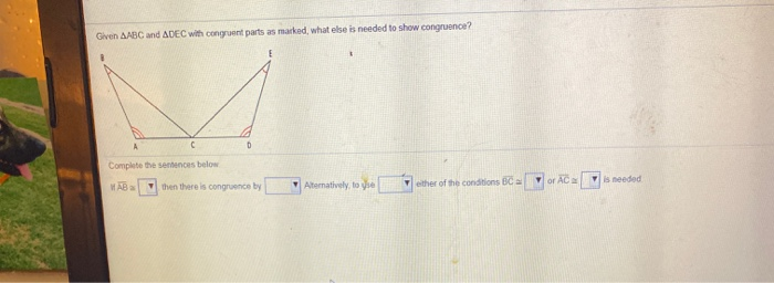 Solved Given AABC and ADEC with congruent parts as marked, | Chegg.com