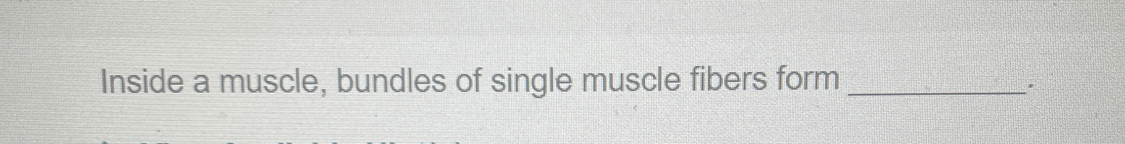 Solved Inside a muscle, bundles of single muscle fibers form | Chegg.com