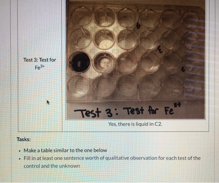 Solved Cation Tests Cation tests Pictures of control cation | Chegg.com