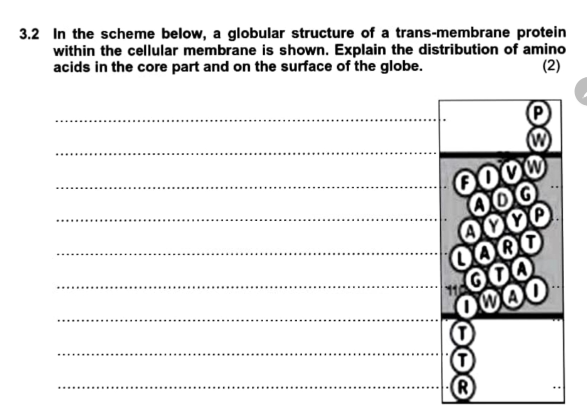 Solved 3.2 ﻿In the scheme below, a globular structure of a | Chegg.com