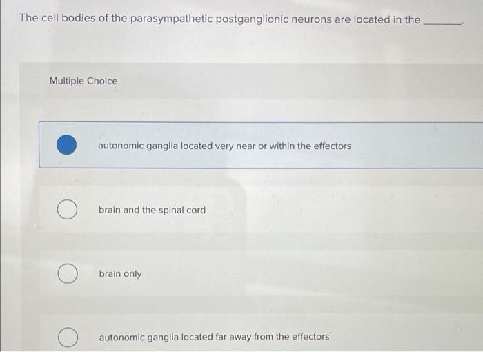 Solved The cell bodies of the parasympathetic postganglionic | Chegg.com