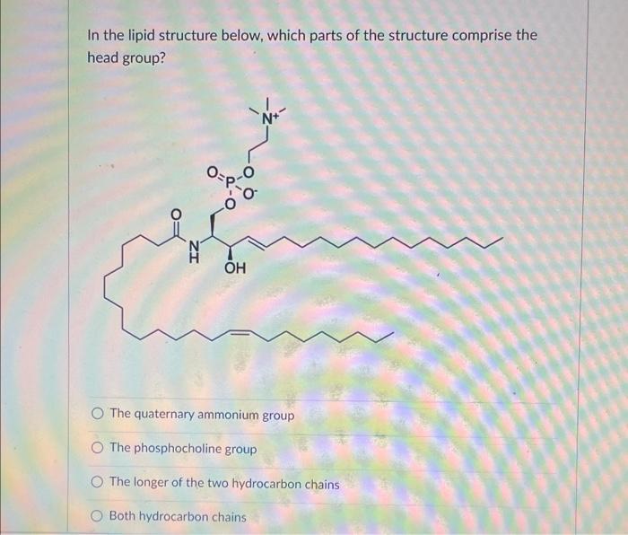 Solved In the lipid structure below, which parts of the | Chegg.com